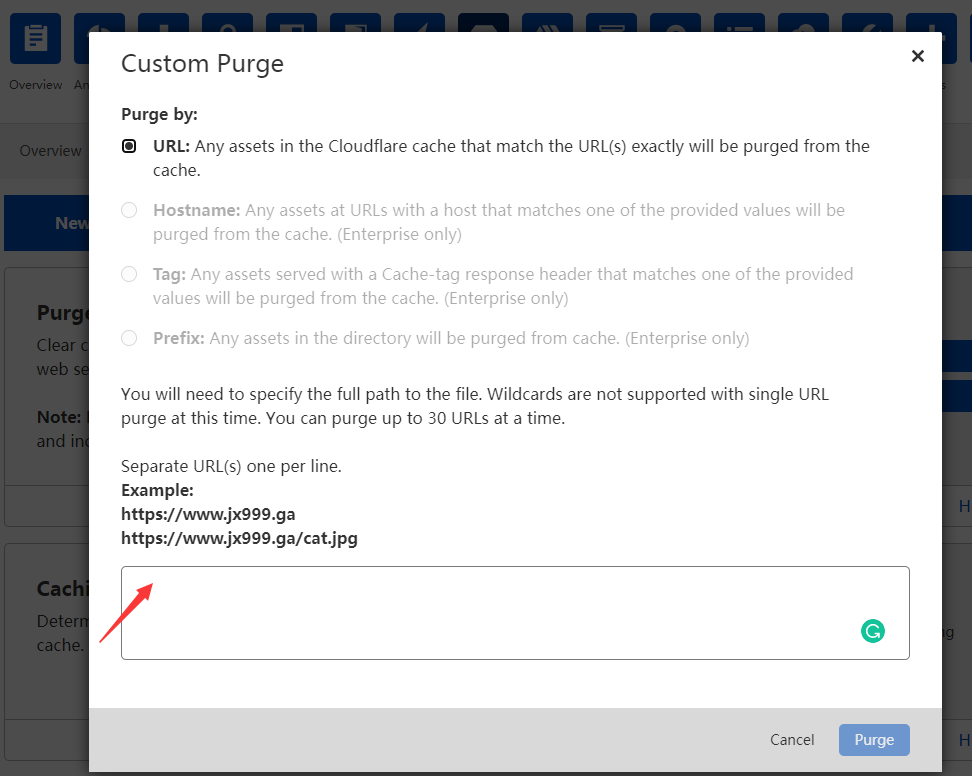 How to exclude certain pages from CDN caching? - SmarterASP.net