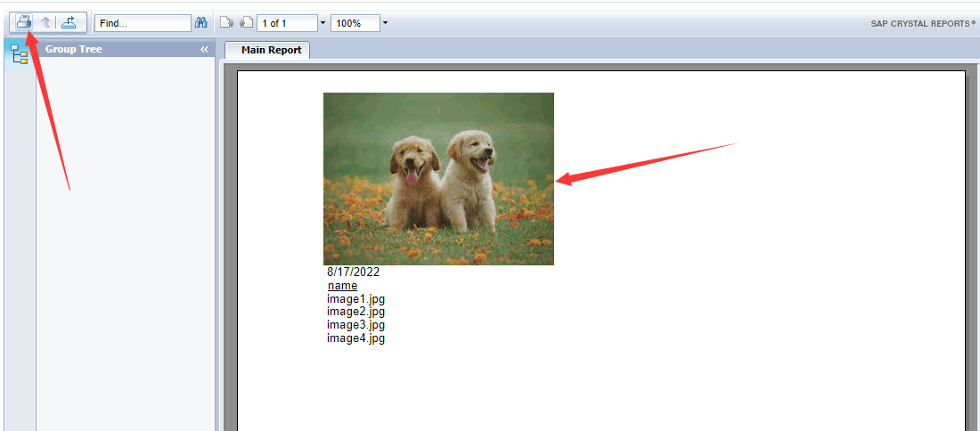 How to load images dynamically/programmatically in Crystal Reports
